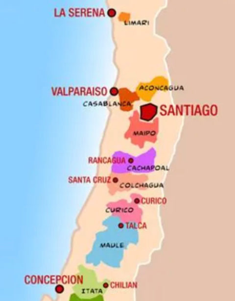 Our Vineyards - La Cantina Winery